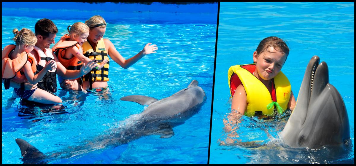 Alanya Swim with Dolphins | Experience Hugging & Kissing Dolphin