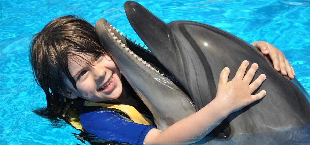 Kemer Swim with Dolphins | Experience Hugging & Kissing Dolphin